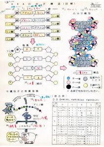 DNAの学習 ーDNAが楽しくわかるー | 分冊版 | モジュール式生物教育の紹介（山口式）